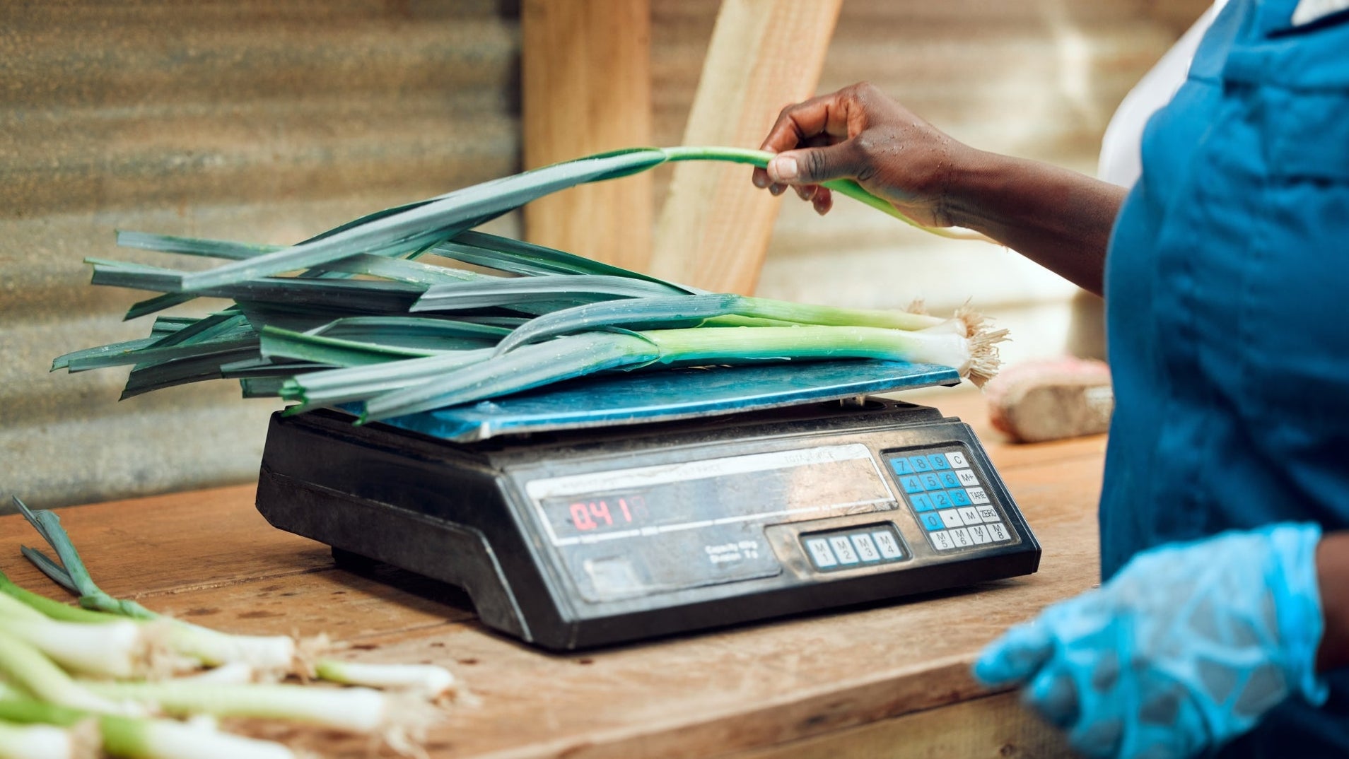 Difference Between Scales and Balances: A Comprehensive Guide — Liberty ...