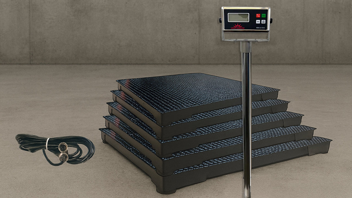 Top Multipack Floor Scales for Accurate Weighing and Efficiency ...