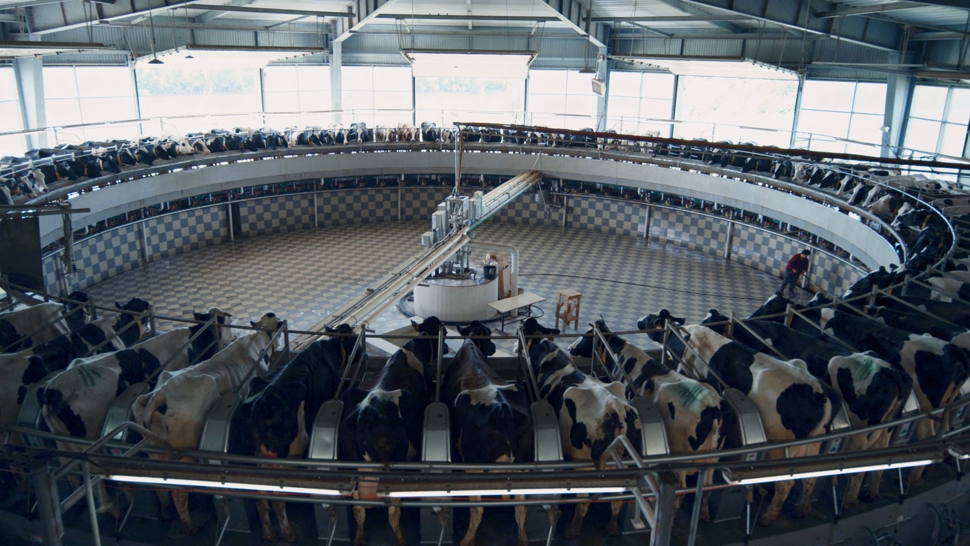 Best Livestock Scales 2025: Complete Cattle Weighing Guide — Liberty Scales