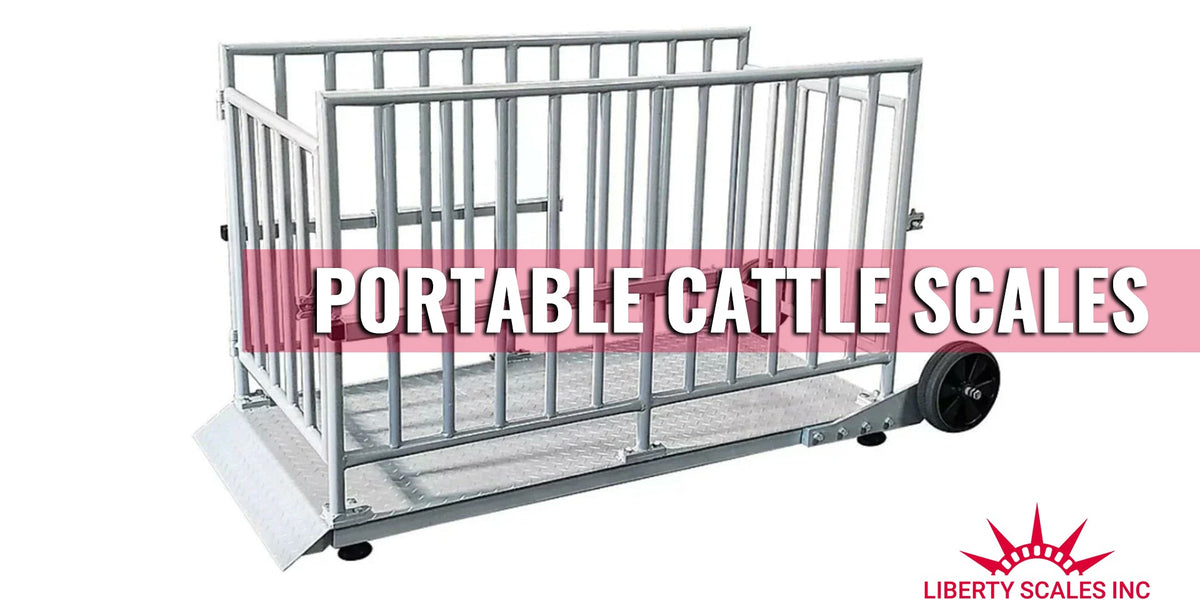 5 Ways Portable Cattle Scales Transform Ranch Operations — Liberty Scales