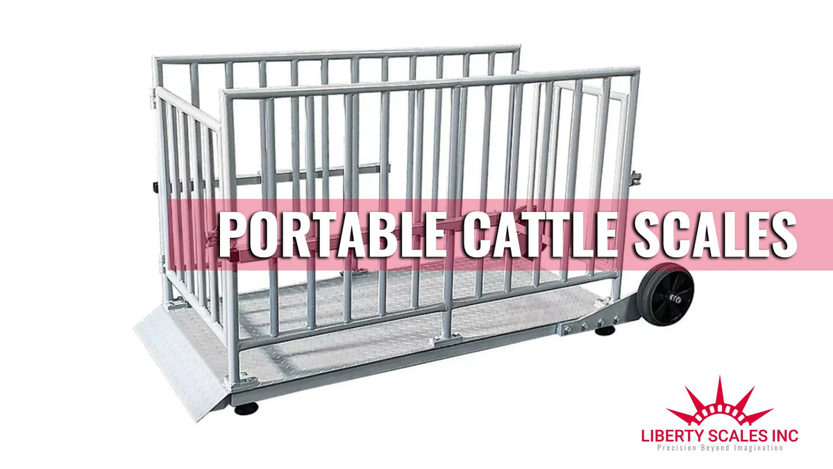 5 Ways Portable Cattle Scales Transform Ranch Operations — Liberty Scales