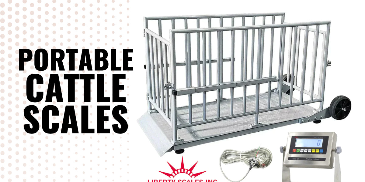 Why Portable Cattle Scales Are Essential in Modern Livestock Managemen ...