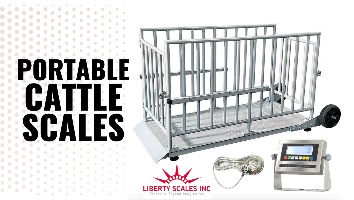 Why Portable Cattle Scales Are Essential in Modern Livestock Managemen ...